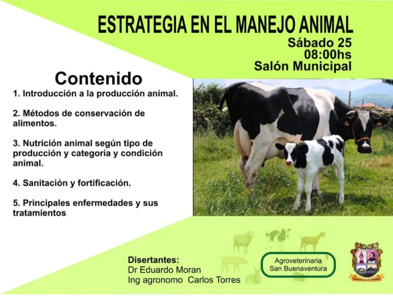ESTRATEGIA EN EL MANEJO ANIMAL
